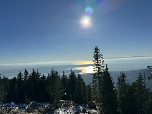 10 Best Hikes and Trails in Grouse Mountain Park | AllTrails