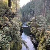 Silver Falls Loop, Washington - 2,822 Reviews, Map | AllTrails