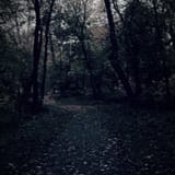 Conestoga Greenway Trail, Pennsylvania - 561 Reviews, Map | AllTrails