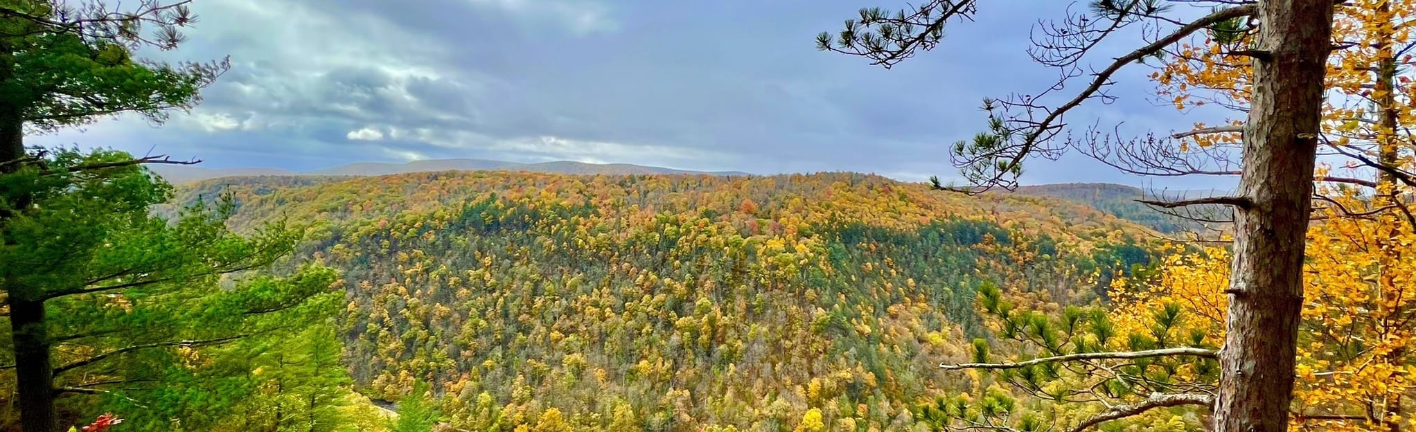 Turkey Path, Pennsylvania - 574 Reviews, Map | AllTrails