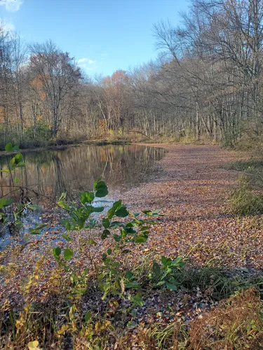 Best Hikes and Trails in Sunny Valley Preserve | AllTrails