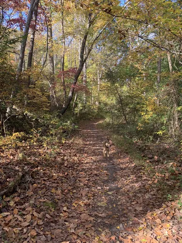 Best Hikes and Trails in Fredericksburg Quarry | AllTrails