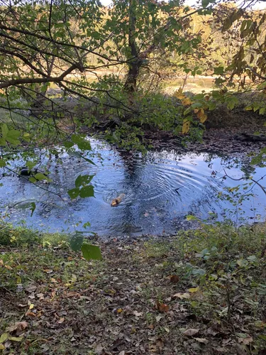 Best Hikes and Trails in Fredericksburg Quarry | AllTrails