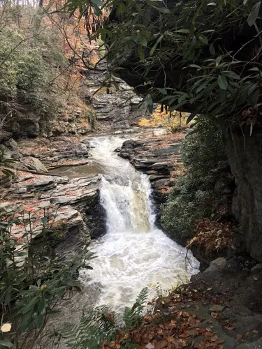 2023 Best River Trails in Scranton | AllTrails
