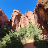 Johnson Canyon Trail, Utah - 893 Reviews, Map | AllTrails