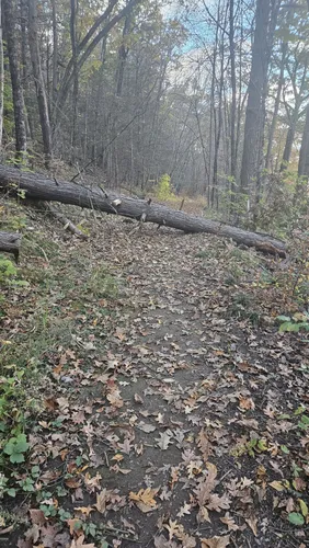 Best Hikes and Trails in Greenfield | AllTrails