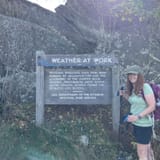 Sharp Top Trail, Virginia - 2,660 Reviews, Map | AllTrails