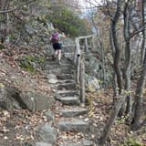 Sharp Top Trail, Virginia - 2,660 Reviews, Map | AllTrails