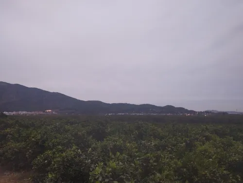 Best Hikes and Trails in Marjar de la Safor | AllTrails