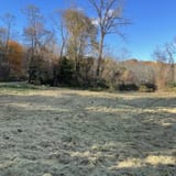 Battle Road Trail, Massachusetts - 1,101 Reviews, Map | AllTrails