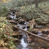 Alarka Creek Falls, North Carolina - 306 Reviews, Map | AllTrails