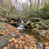 Alarka Creek Falls, North Carolina - 306 Reviews, Map | AllTrails