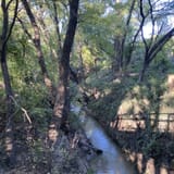 Wilson Creek Trail, Texas - 426 Reviews, Map | AllTrails