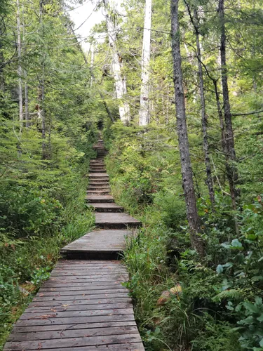 Best River Trails in Cape Scott Provincial Park | AllTrails