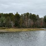 Hard Times Loop, North Carolina - 1,178 Reviews, Map | AllTrails