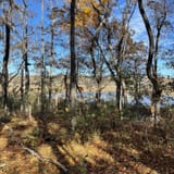 Barn Island Wildlife Management Area Trail, Connecticut - 715 Reviews ...