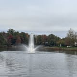 Innsbrook Lakes Trails, Virginia - 252 Reviews, Map | AllTrails