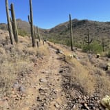 Clay Mine Trail, Arizona - 416 Reviews, Map | AllTrails