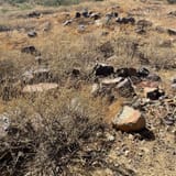 Clay Mine Trail, Arizona - 416 Reviews, Map | AllTrails