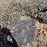 Clay Mine Trail, Arizona - 416 Reviews, Map | AllTrails