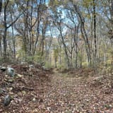 Barn Island Wildlife Management Area Trail, Connecticut - 715 Reviews ...