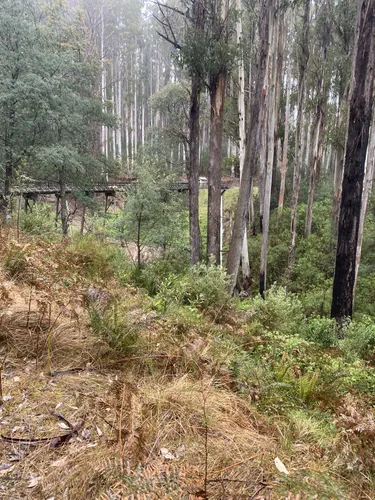 Rubicon Valley Historic and Cultural Features Reserve: de beste routes ...