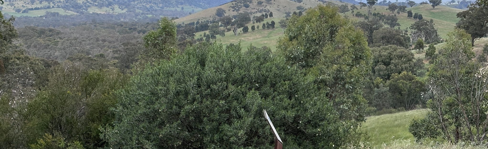Compass Rose via Aircrash Walking Track: 19 fotos - Victoria, Australia ...