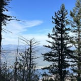 Angels Rest to Devil's Rest Loop Trail, Oregon - 1,231 Reviews, Map ...