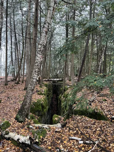 Best Hikes and Trails in Sydenham Forest Management Area | AllTrails