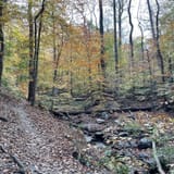 Cascade Falls Loop Trail , Maryland - 2,756 Reviews, Map | AllTrails