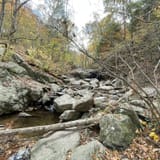 Cascade Falls Loop Trail , Maryland - 2,756 Reviews, Map | AllTrails