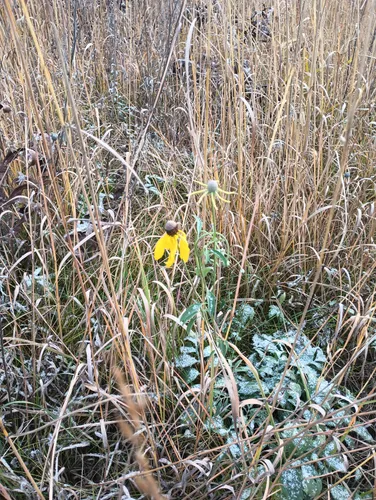 Best Hikes and Trails in Bluff Spring Fen Nature Preserve | AllTrails