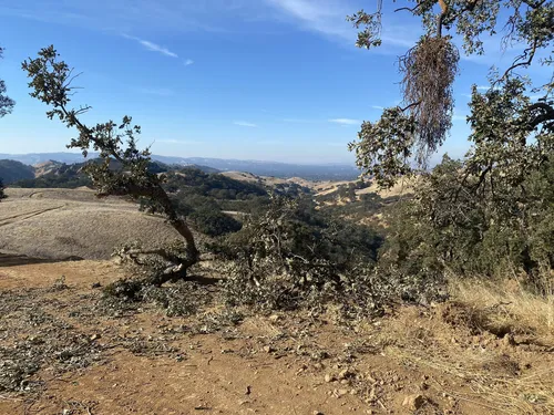 Best Mountain Biking Trails in Mount Diablo State Park | AllTrails
