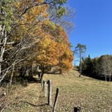 Hemphill Bald Trail, North Carolina - 328 Reviews, Map | AllTrails