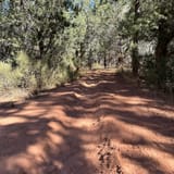 Sand Bench Trail, Utah - 564 Reviews, Map | AllTrails