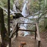 Begbie Falls via Bluff Trail , British Columbia, Canada - 387 Reviews ...