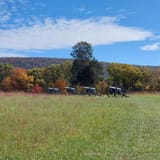Murphy-Chambers Farm Loop Trail, West Virginia - 727 Reviews, Map ...