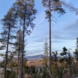 Triple Tree Trail, Montana - 1,121 Reviews, Map | AllTrails