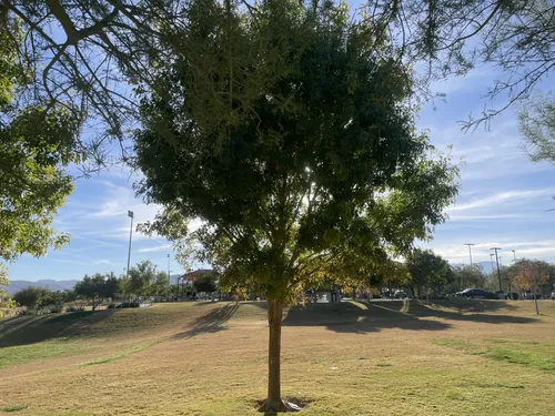 Best Hikes and Trails in Mountains Edge Regional Park | AllTrails