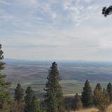 Kamiak Butte Trail, Washington - 766 Reviews, Map | AllTrails