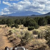 Red Mountain Trail, Arizona - 823 Reviews, Map | AllTrails