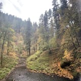 South Falls and Maple Ridge Loop, Oregon - 1,832 Reviews, Map | AllTrails