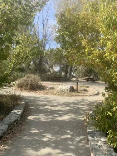 Best Walking Trails in Wind Wolves Preserve | AllTrails