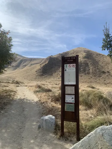 Wind Wolves Preserve: Die besten Routen entlang Flüssen in 2023 | AllTrails
