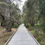Eagleby Wetlands, Queensland, Australia - 46 Reviews, Map | AllTrails