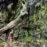 Cecilia Waterfall via Cecilia Forest, Western Cape, South Africa ...