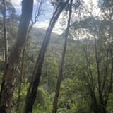 Griffith Falls via Ferndale Road, Victoria, Australia - 44 Reviews, Map ...