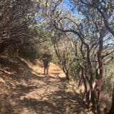 Dragoon Gulch Trail, California - 923 Reviews, Map | AllTrails