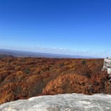 Sam's Point Overlook to Ice Cave Trail, New York - 1,088 Reviews, Map ...
