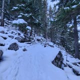 Ira Spring Memorial Trail, Washington - 1,968 Reviews, Map | AllTrails